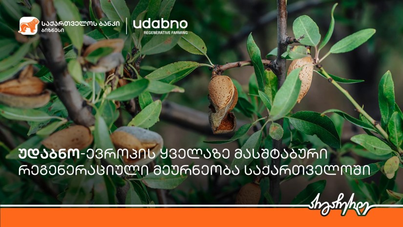 უდაბნო – ევროპის ყველაზე მასშტაბური რეგენერაციული მეურნეობა საქართველოში