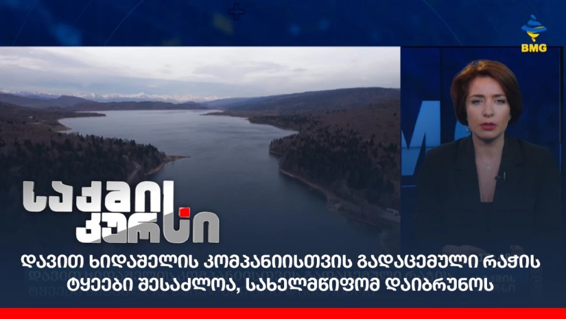 დავით ხიდაშელის კომპანიისთვის გადაცემული რაჭის ტყეები შესაძლოა ...