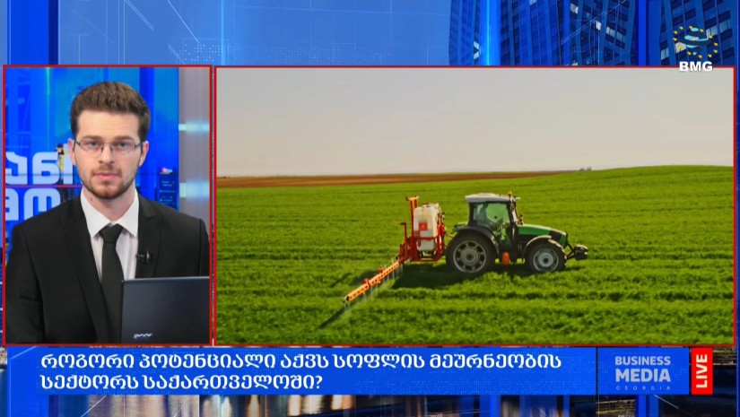 როგორი პოტენციალი აქვს სოფლის მეურნეობის სექტორს საქართველოში?