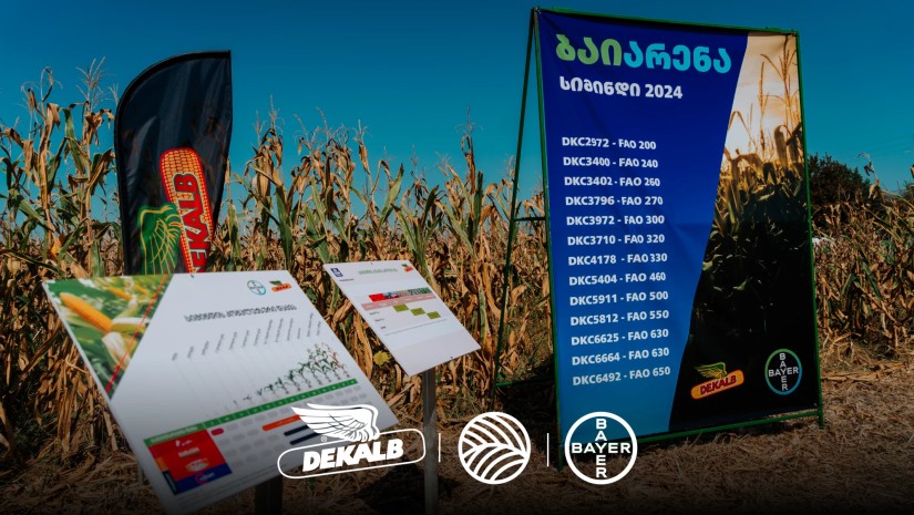 "აგროსფეროს" ორგანიზებით სიმინდის მინდვრის დღე "ბაიარენა" ჩატარდა