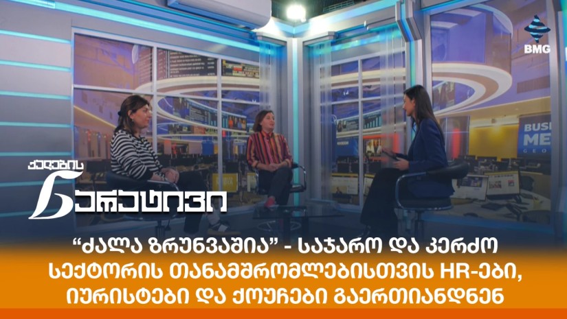 “ძალა ზრუნვაშია” - საჯარო და კერძო სექტორის თანამშრომლებისთვის HR-ები ...