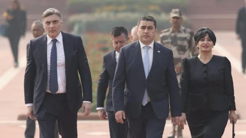 What Is Georgia’s Economic Relationship with India, Where Speaker ...