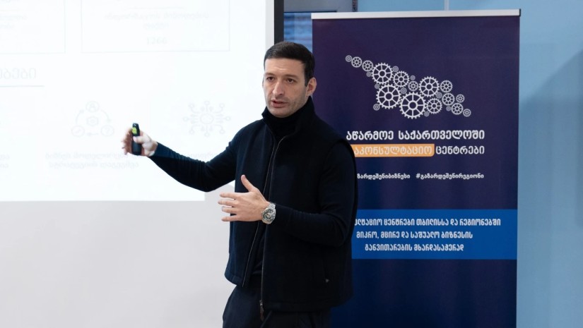 State Audit Service to Examine Enterprise Georgia's Operations