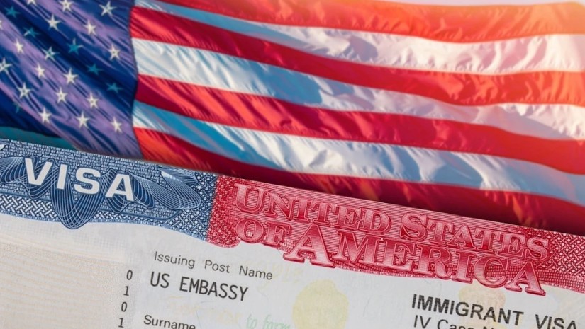 How Many Immigration Visas Were Issued In Georgia? - Statistics