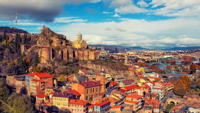 Georgia’s Technology Export Sector: Growth Drivers and Structural ...